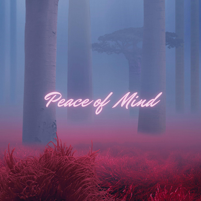Peace of mind - Album by Emiroy | Spotify