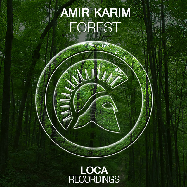 Forest - Single by Amir Karim | Spotify