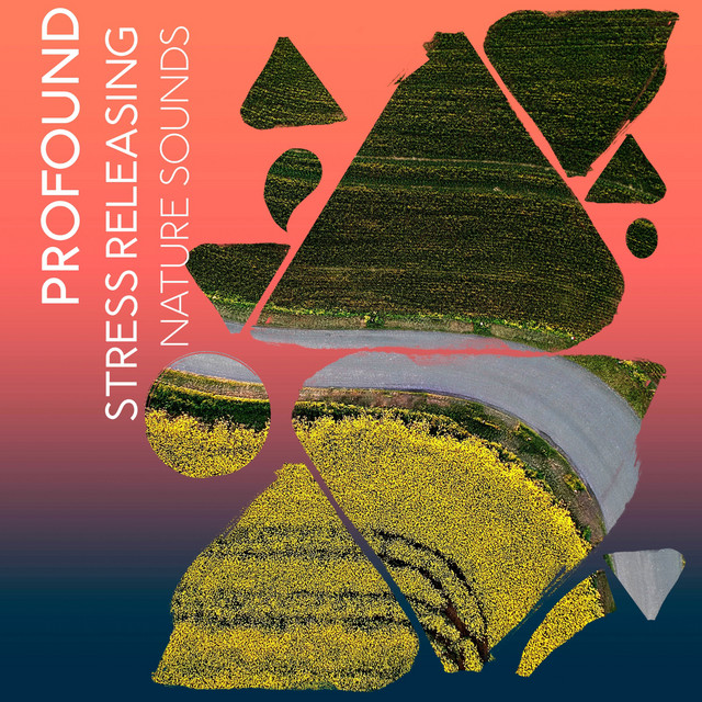 zZz Profound Stress Releasing Nature Sounds zZz - Album by Mother ...