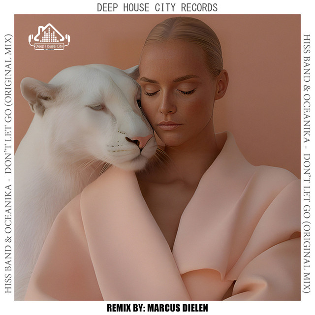 Don’t Let Go (Marcus Dielen Remix) - Single by Hiss Band | Spotify