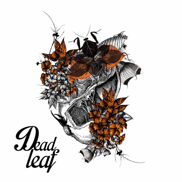 Dead Leaf - Single by Dead Leaf | Spotify