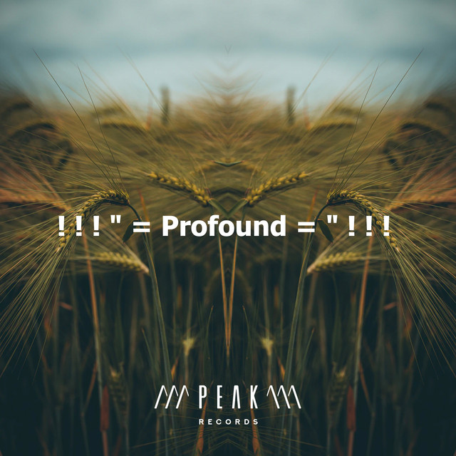 Profound = " ! ! ! - Album by Nature Sound Series | Spotify
