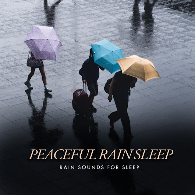 Peaceful Rain Sleep - Album by Rain Sounds For Sleep | Spotify