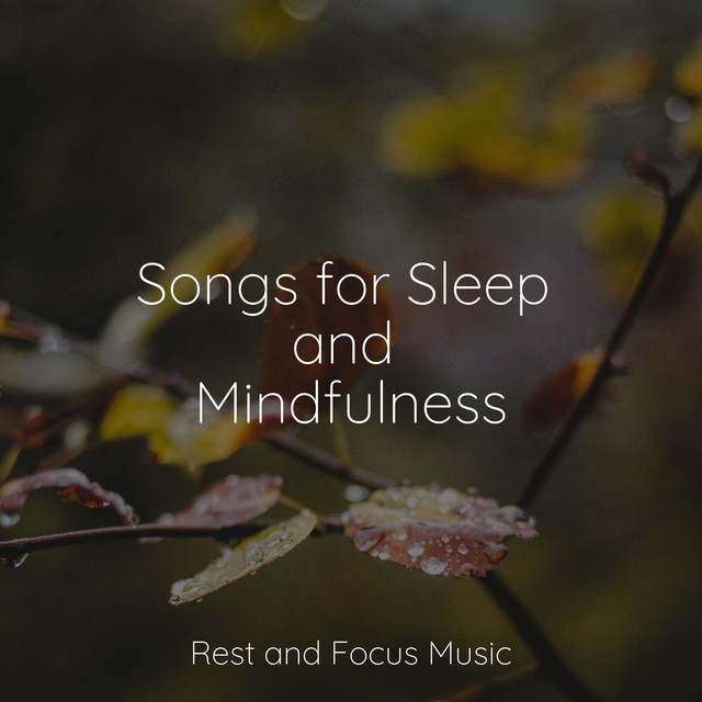 Songs for Sleep and Mindfulness - Album by Deep Sleep Relaxation | Spotify