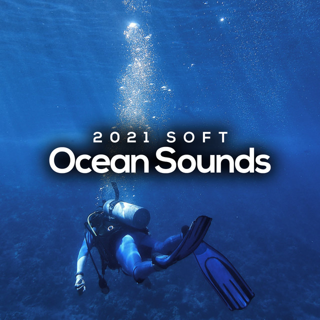 2021 Soft Ocean Sounds - Album by Winds and Oceans | Spotify