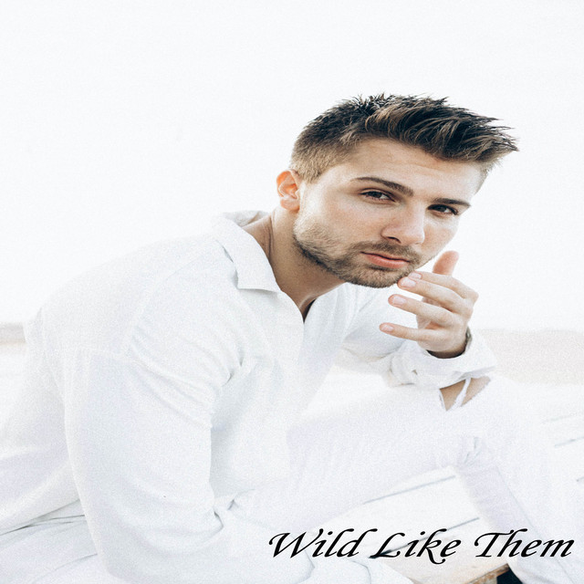 Willow Washeds | Spotify