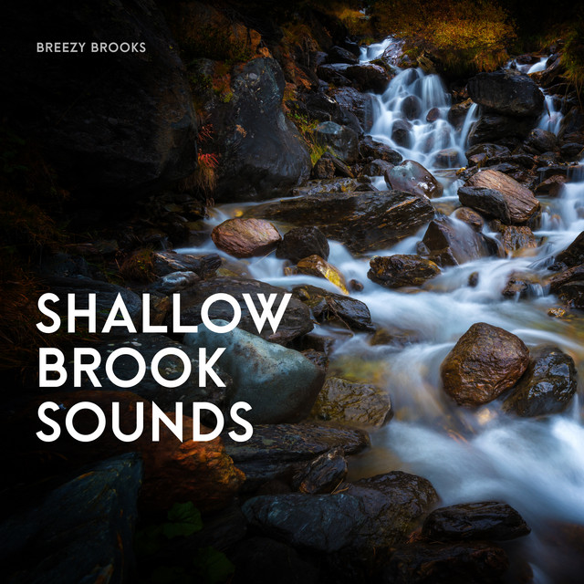 Shallow Brook Sounds - Album by breezy brooks | Spotify