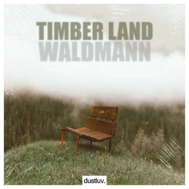 Timber Land - Single by Waldmann | Spotify