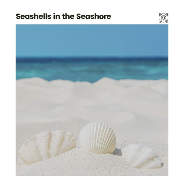 Seashells in the Seashore - Album by Ocean Sounds FX | Spotify
