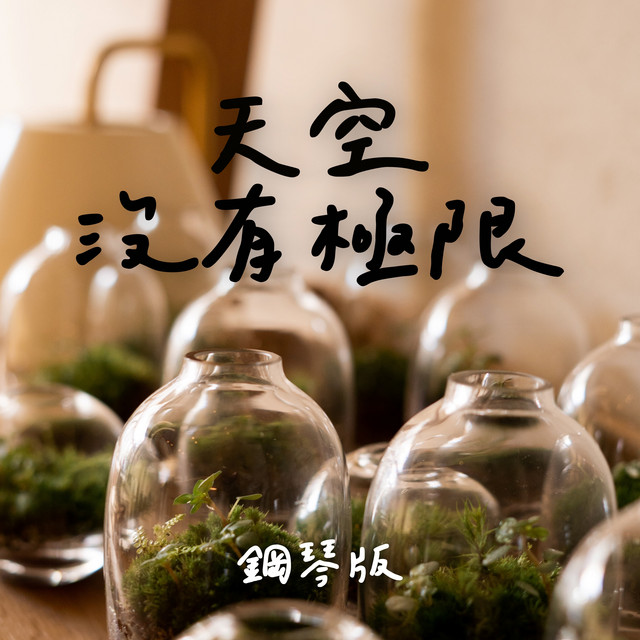天空沒有極限 (鋼琴版) - Single by Jesse T | Spotify