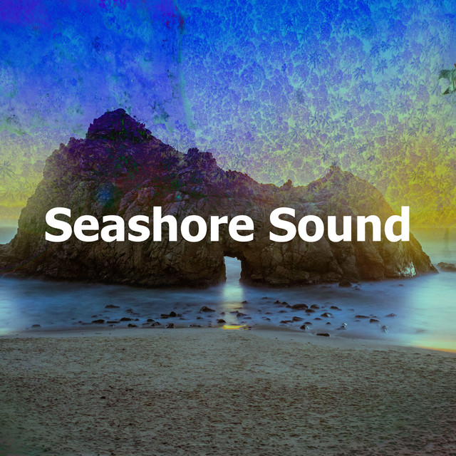 Seashore Sound – Album de Seashore Waves | Spotify