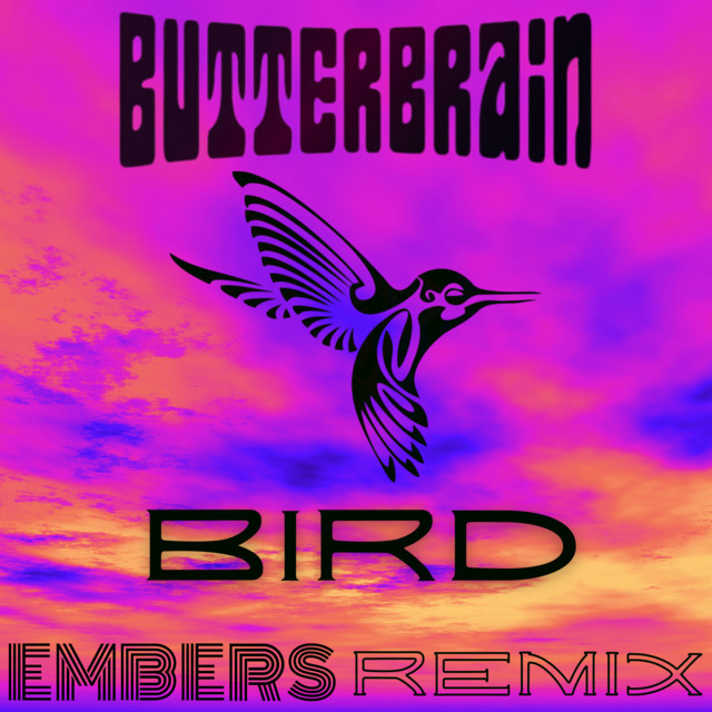 Bird (Remix) - Single by Butterbrain | Spotify
