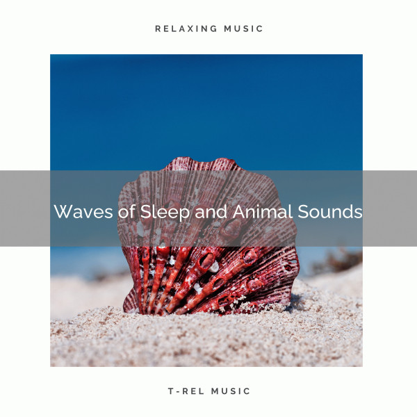 2021 Waves of Sleep and Animal Sounds - Album by Coastal Sounds | Spotify