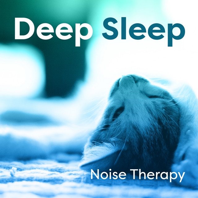Deep Sleep Noise Therapy - Album by Deep Sleep Walkers | Spotify