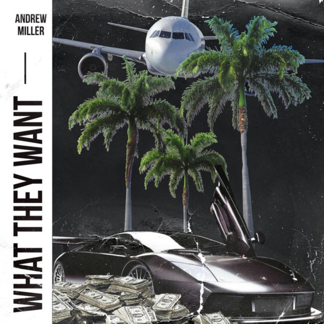 What They Want - EP by Andrew Miller | Spotify