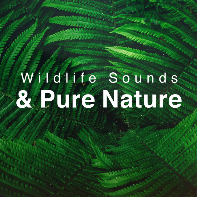 Wildlife Sounds & Pure Nature ! ! ! ! - Album by Life Sounds Nature ...