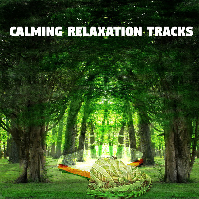 Calming Relaxation Tracks - Album by Rest & Relax Nature Sounds Artists ...