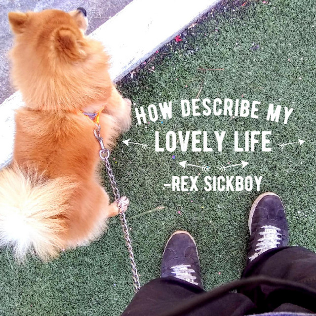 How Decribe My Lovely Life - EP by Rex Sickboy | Spotify