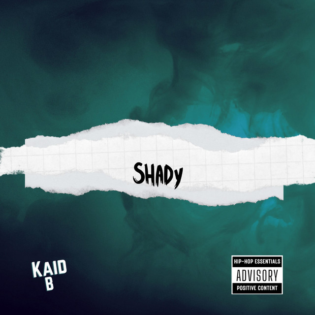 Shady - Single by Kaid B | Spotify