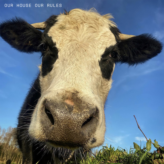 Our House / Our Rules - Single by The Grinns | Spotify