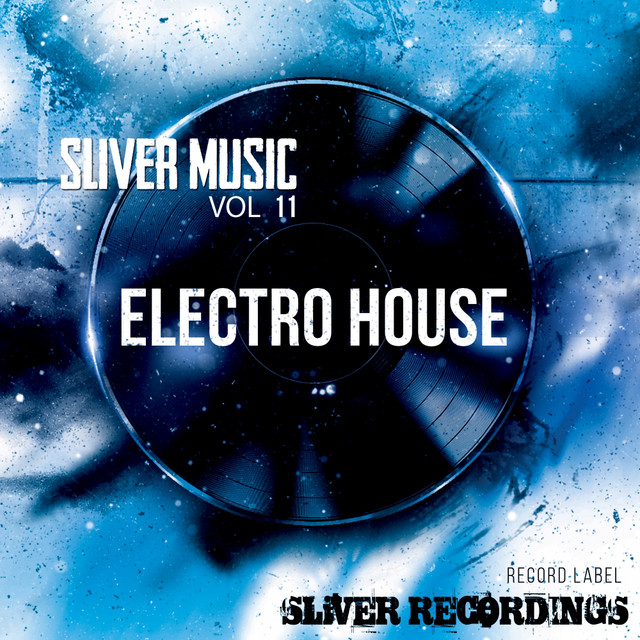SLiVER Music: Electro House, Vol.11 - Compilation by Various Artists ...