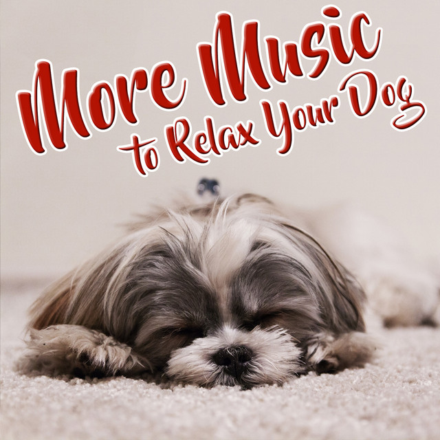more-music-to-relax-your-dog-compilation-by-various-artists-spotify
