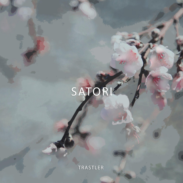 Satori - Single by Trastler | Spotify