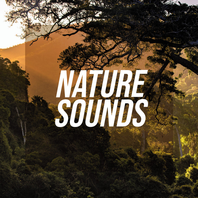 Nature Sounds ! ! ! - Album by Sons Da Natureza | Spotify