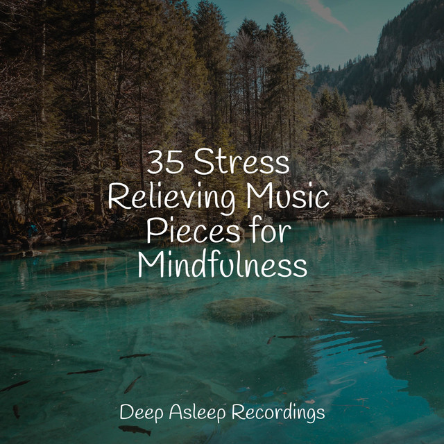 35 Stress Relieving Music Pieces for Mindfulness - Album by Relaxed ...