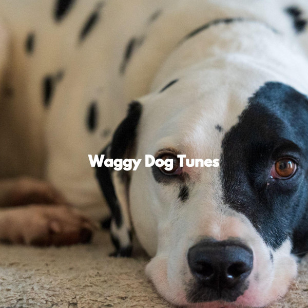 Waggy Dog Tunes - Album by Calm Dog Music | Spotify