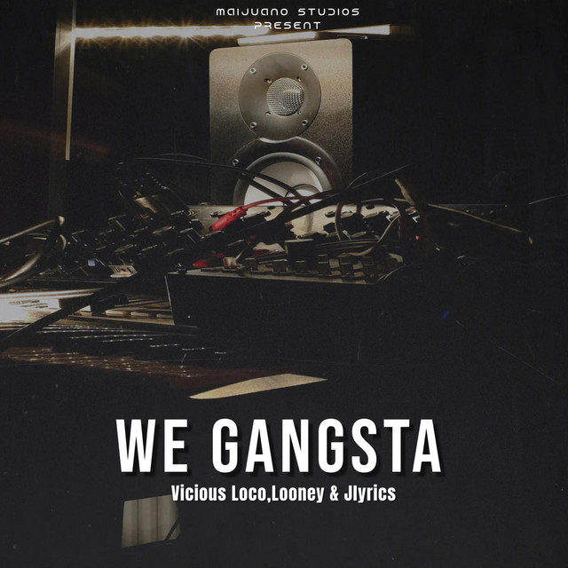 WE GANGSTA - Single by Vicious Loco -Colorado Springs719 | Spotify