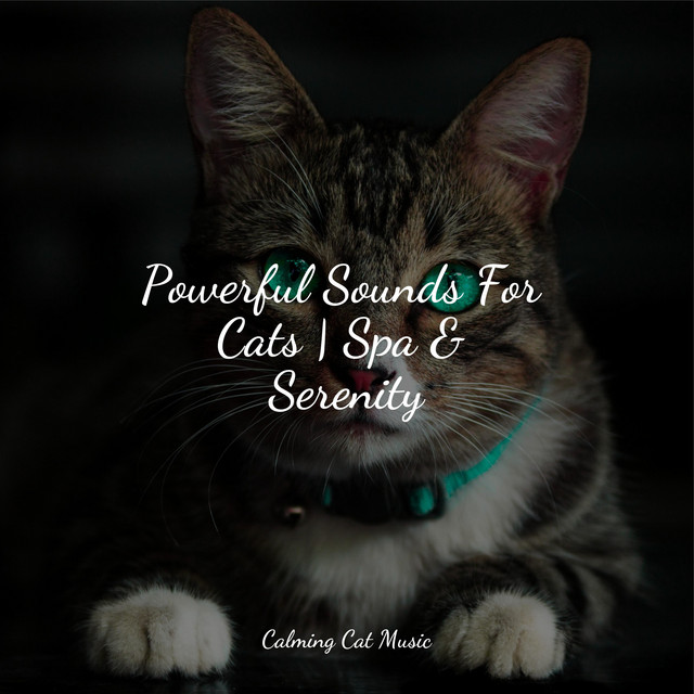 Powerful Sounds For Cats | Spa & Serenity - Album by Music for Resting ...