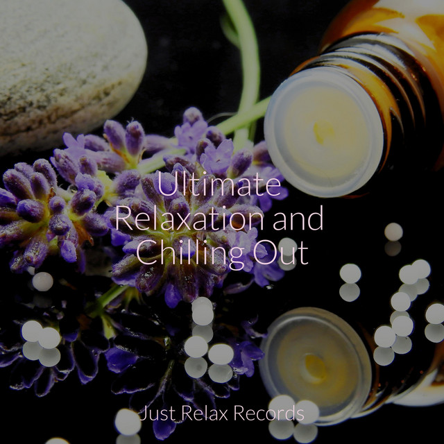 Ultimate Relaxation and Chilling Out - Album by Relaxed Minds | Spotify
