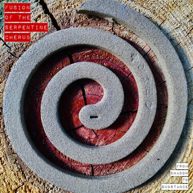 Fusion of the Serpentine Cherub - Single by From Shadow to Substance ...