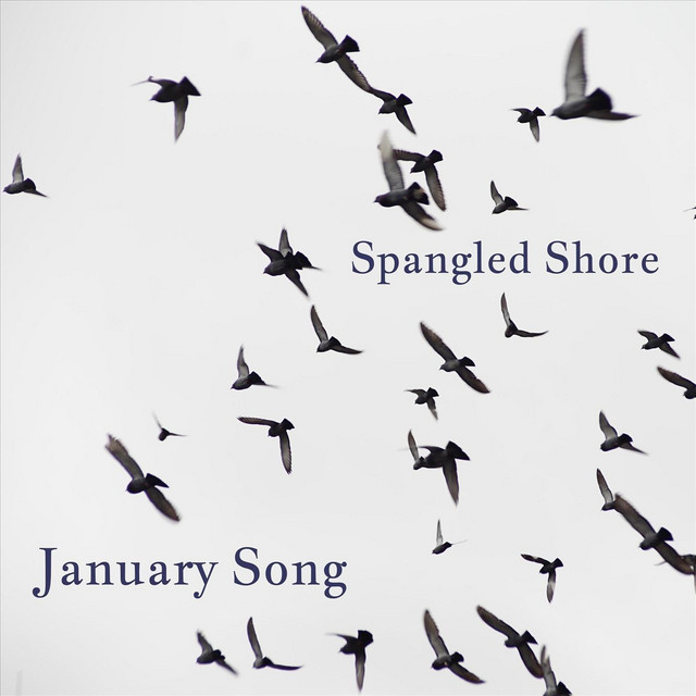 January Song - Single by Spangled Shore | Spotify