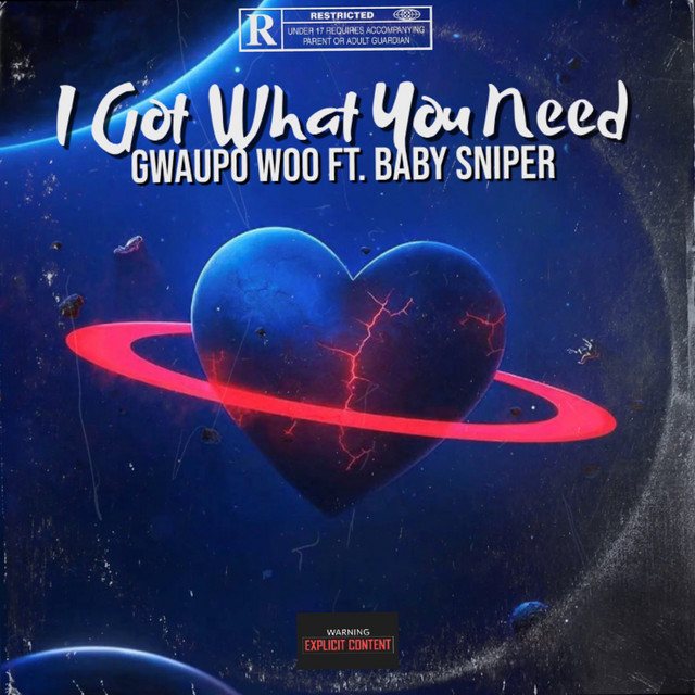 I Got What You Need - song and lyrics by Gwaupo Woo, Baby Sniper | Spotify