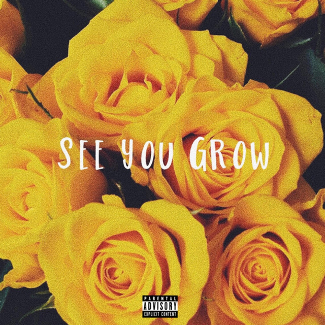 See You Grow - Single by T Star | Spotify
