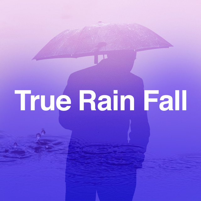 True Rain Fall ! ! ! ! - Album by Rain | Spotify