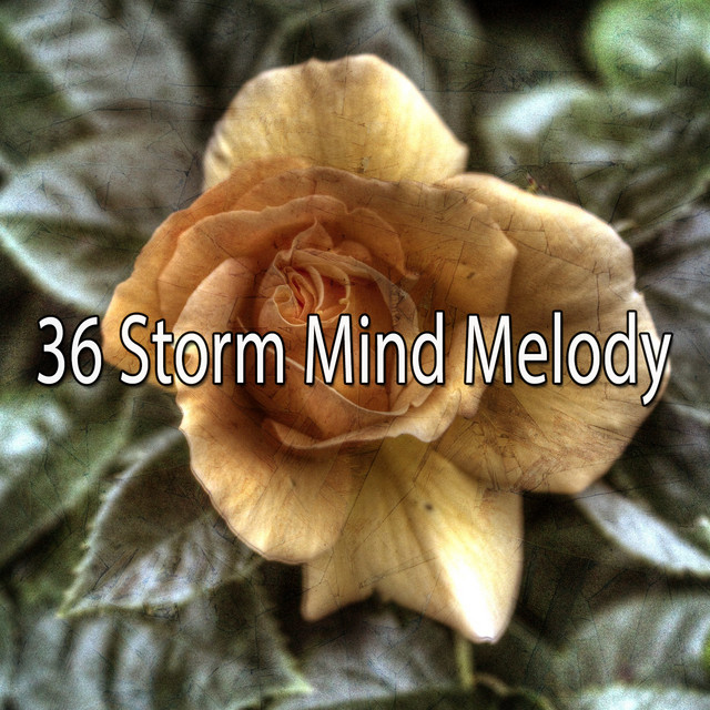 36 Storm Mind Melody - Album by Rain Sounds & White Noise | Spotify