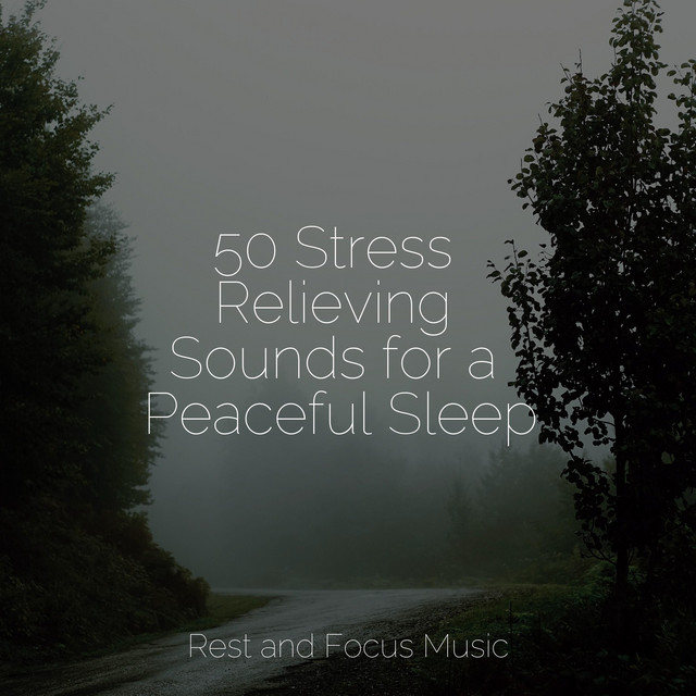 50 Stress Relieving Sounds for a Peaceful Sleep - Album by Relaxing ...