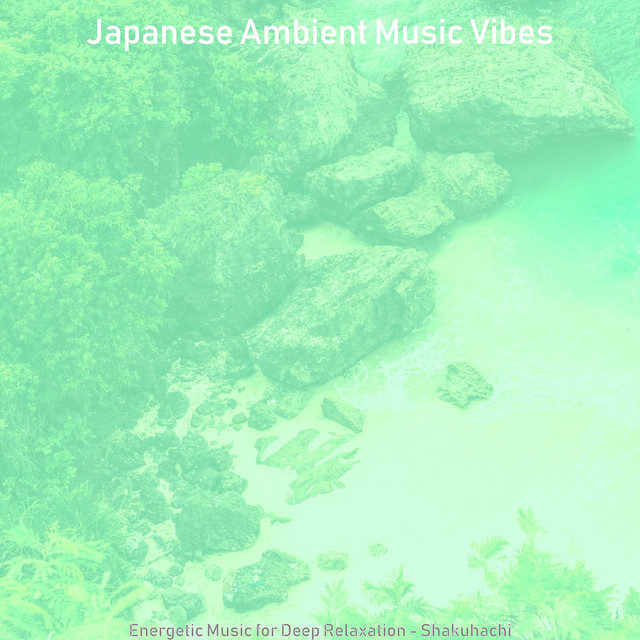 Japanese Ambient Music Vibes | Spotify