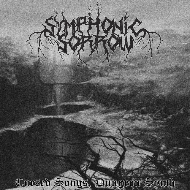 Cursed Songs, Dungeon Synth - Album by Symphonic Sorrow | Spotify