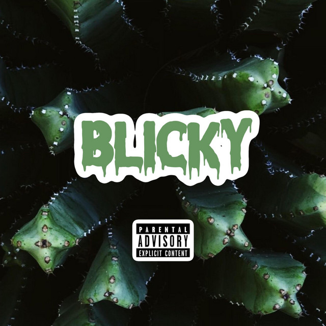 Blicky Single By Slvsher Spotify