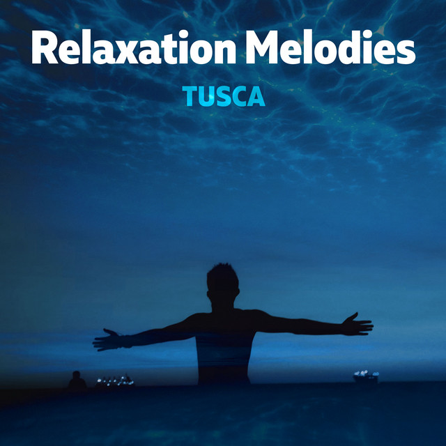 Distractions - song and lyrics by Tusca | Spotify