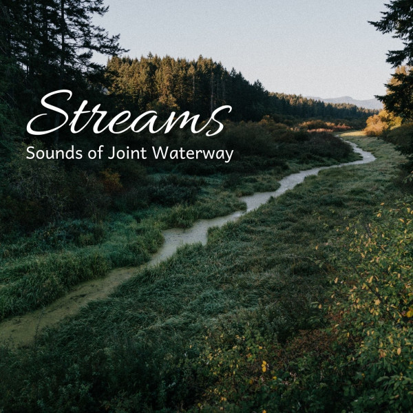 Streams: Sounds of Joint Waterway - Album by Powerthoughts Meditation ...