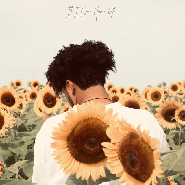 If I Can Have You - Single by Evan Fuerst | Spotify