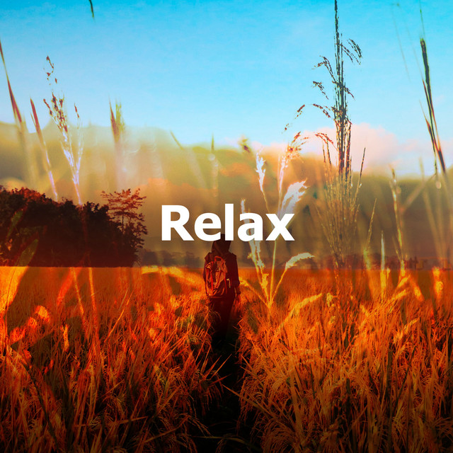 Singing English Birds - song and lyrics by Relax Meditation Sleep | Spotify