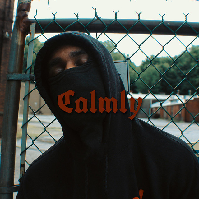 Calmly – Single de Finland Da Great | Spotify