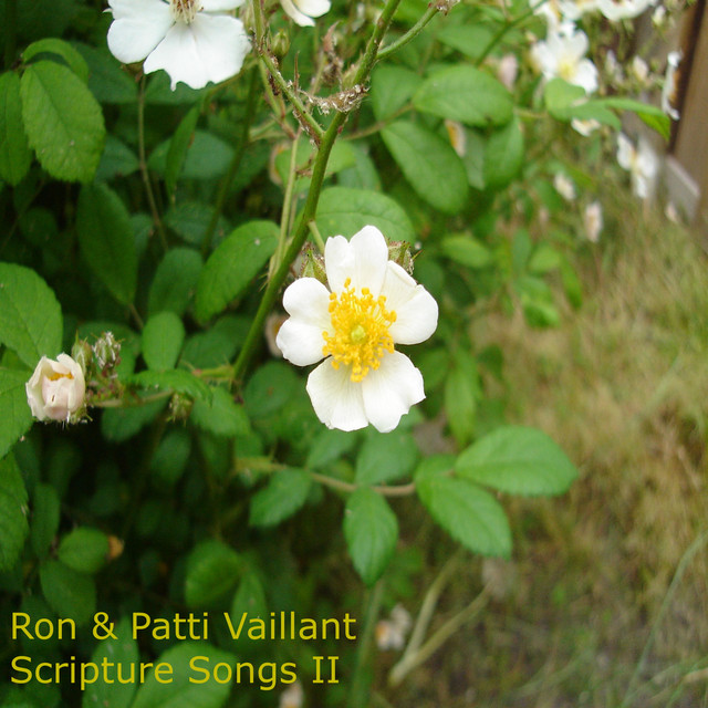 Scripture Songs II - Album by Ron & Patti Vaillant | Spotify