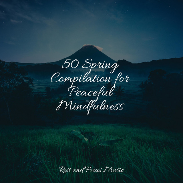 50 Spring Compilation for Peaceful Mindfulness - Album by Classical ...